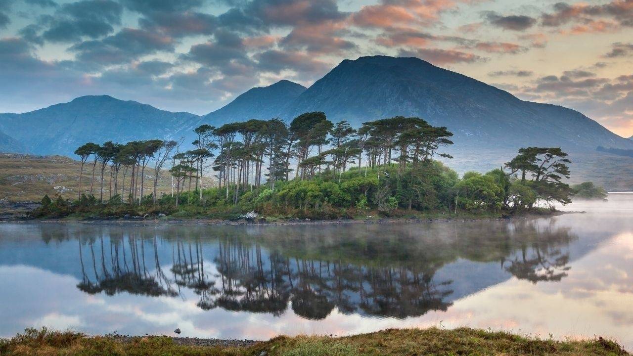 Understand and Speak Irish Now: The Present Tense