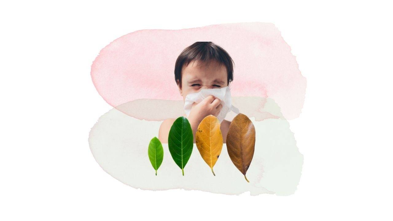 Stay healthy during season change!