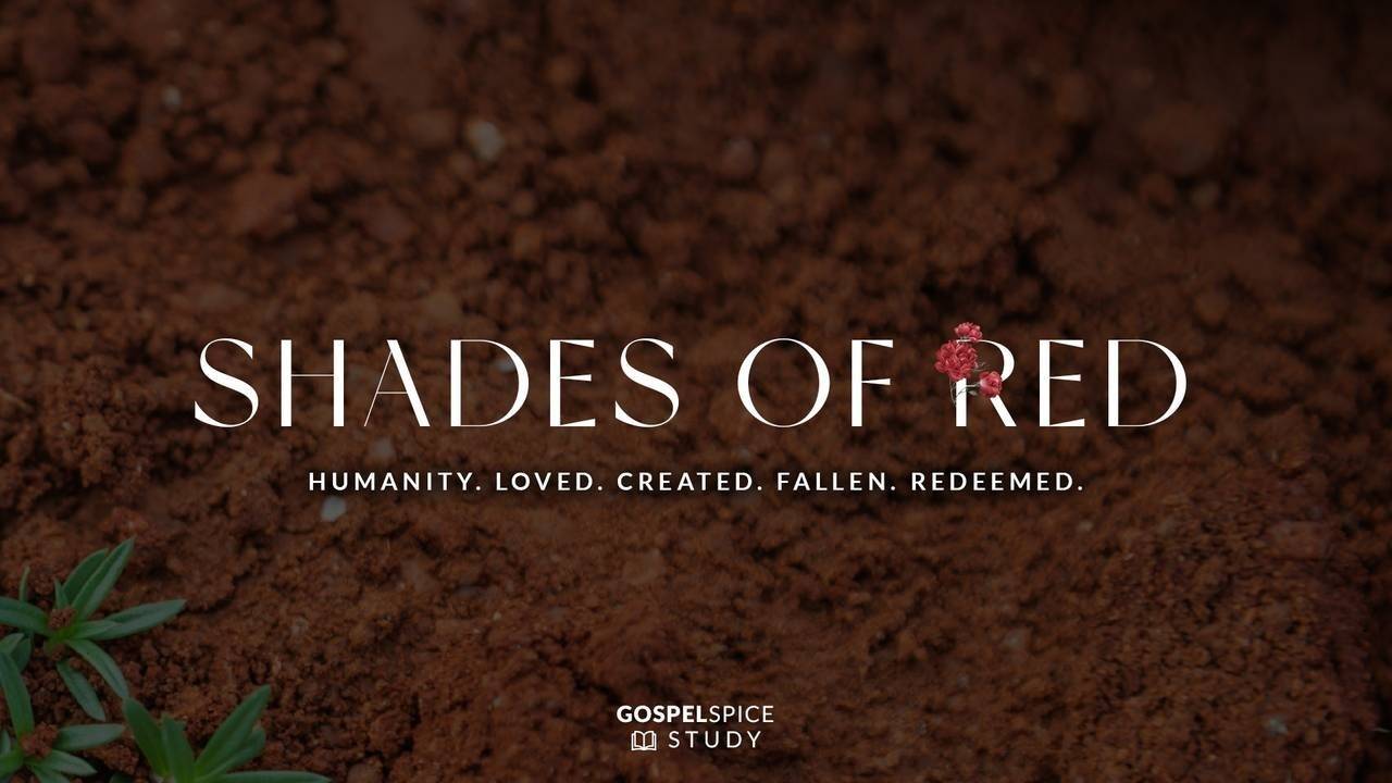 GospelSpice Shades of Red| Humanity: Loved. Created. Fallen. Redeemed.
