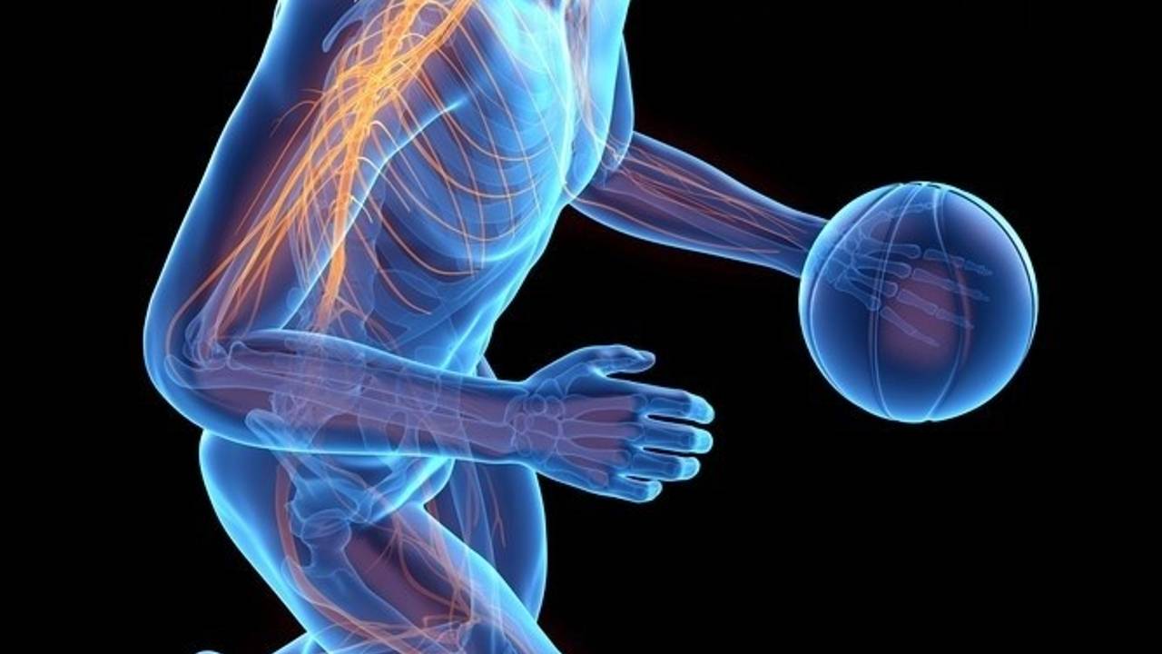 Motor Control - concepts for training (Online)