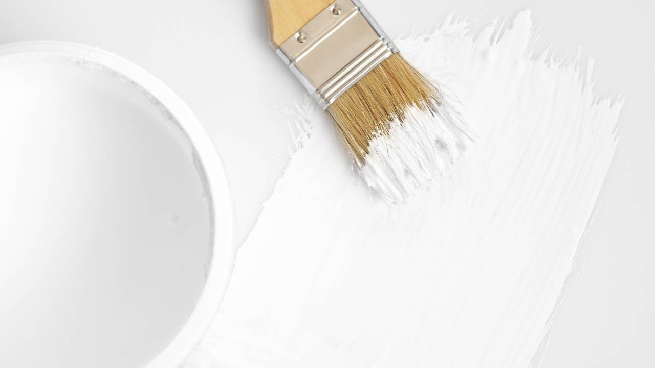 The white paint debate