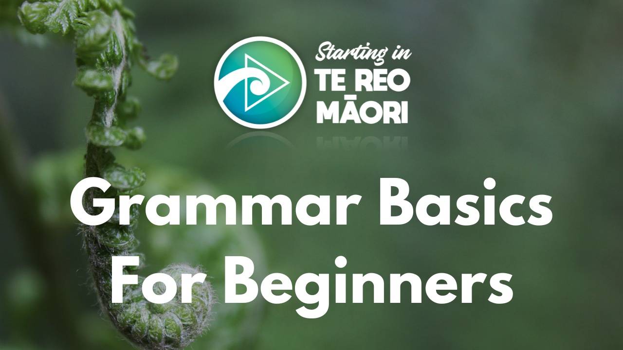 Grammar Basics for Beginners - Starting In Te Reo Māori