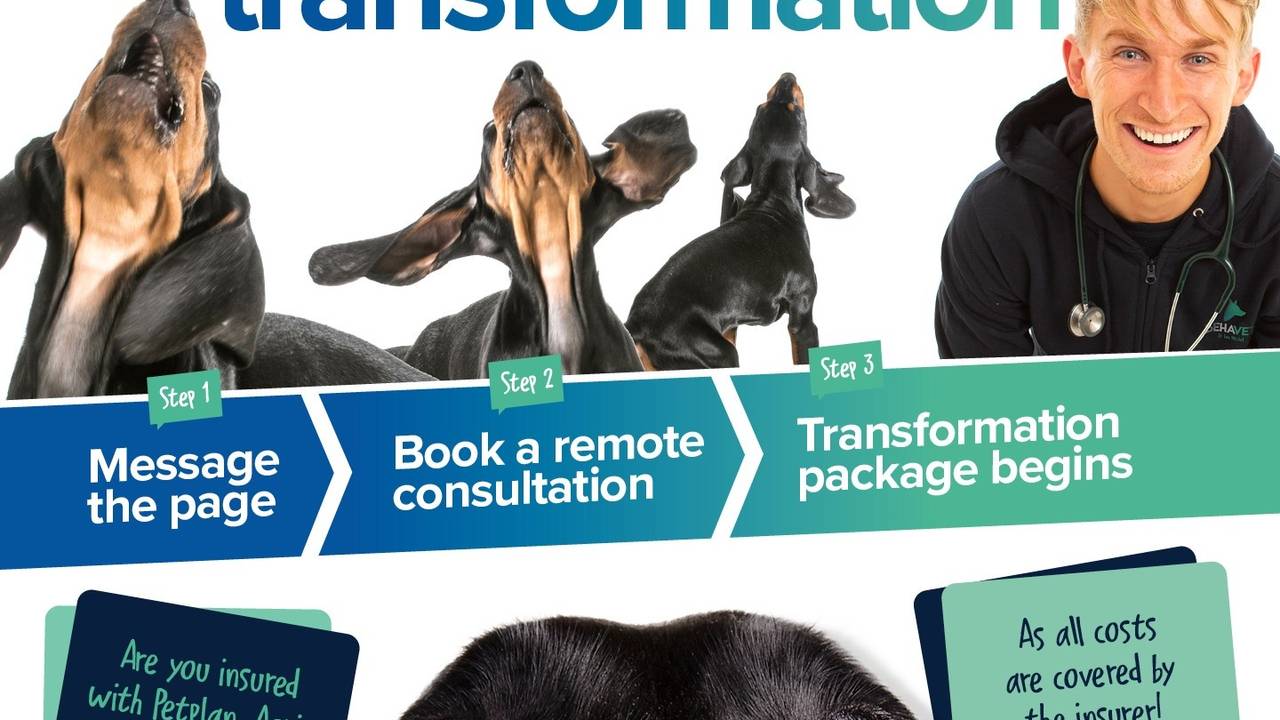 Behaviour Therapy First Aid for Fear of Fireworks