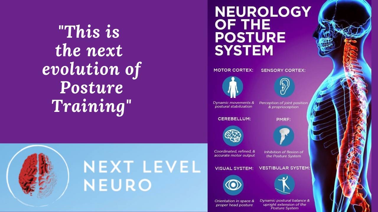 FREE Education - Neurology Of Posture Part II Registration