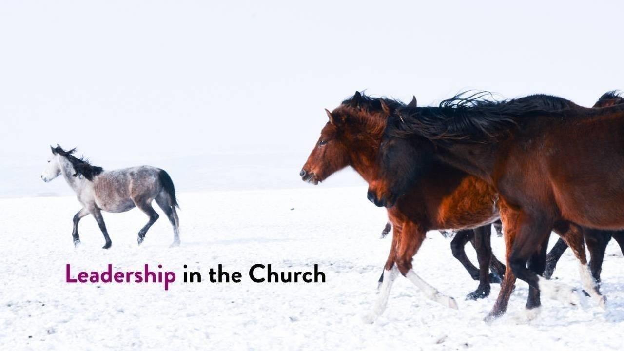 Leadership in the Church