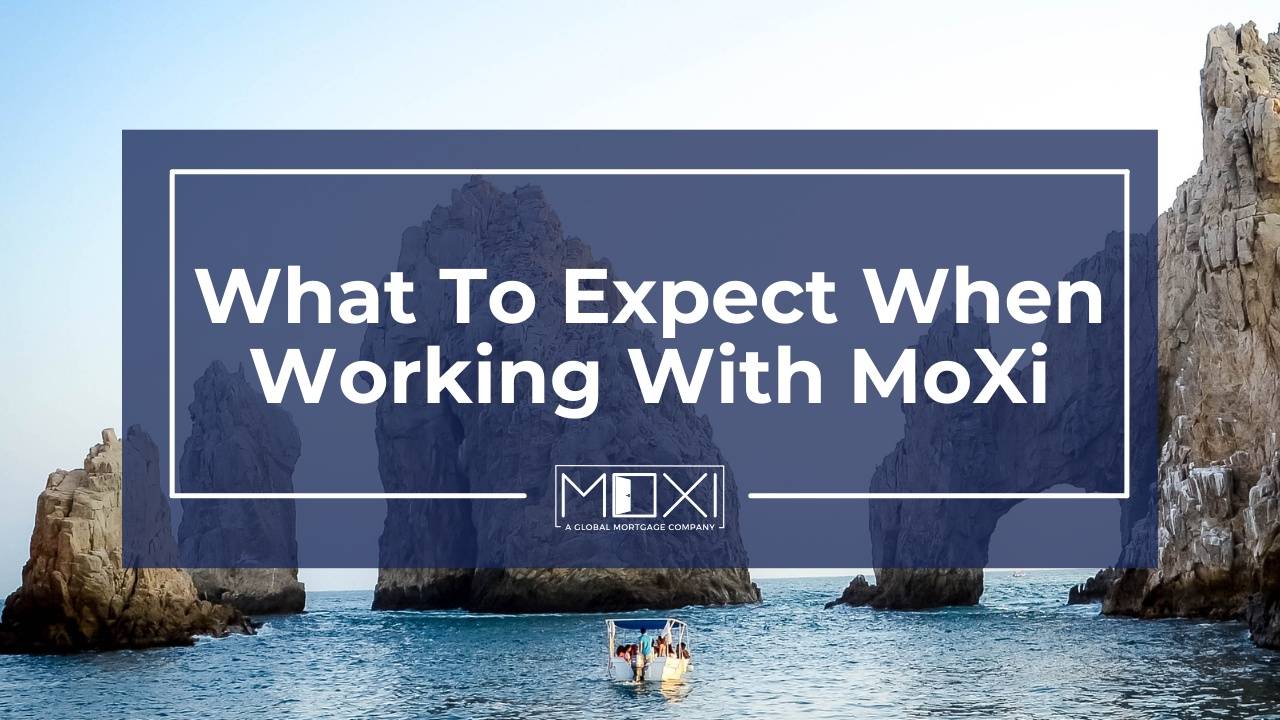 What's The Process? Working With MoXi