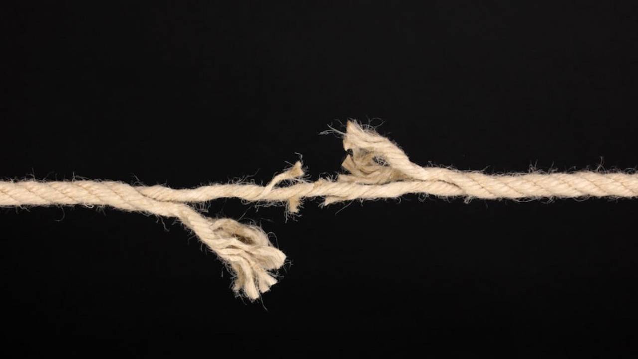 Stress, Cortisol, and You