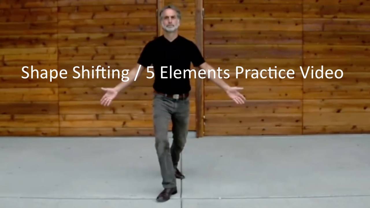 Free Practice Video - Shape Shifting: A 5 Elements Practice