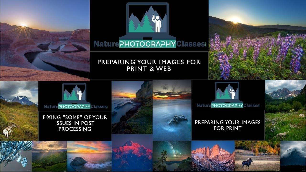 Preparing Your Images For Print & Web
