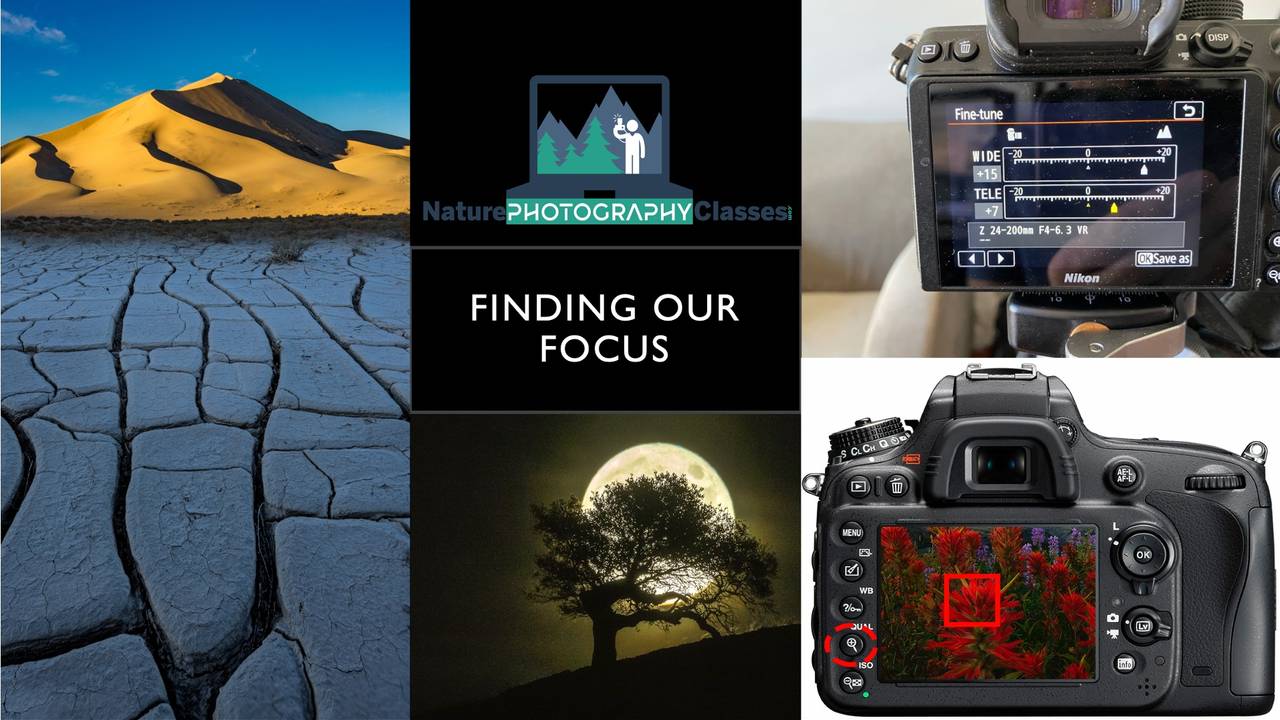 Finding focus within in our image