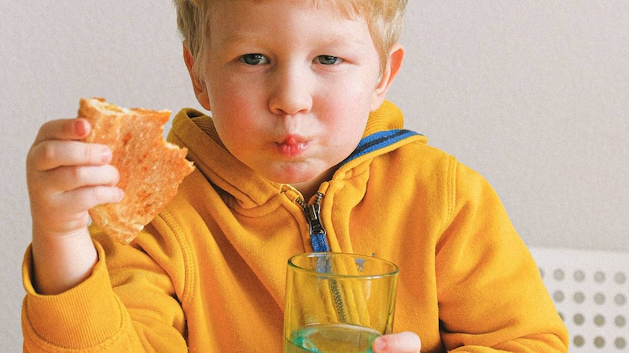 Eating Behavior, Sensory Modulation and Emotional Regulation