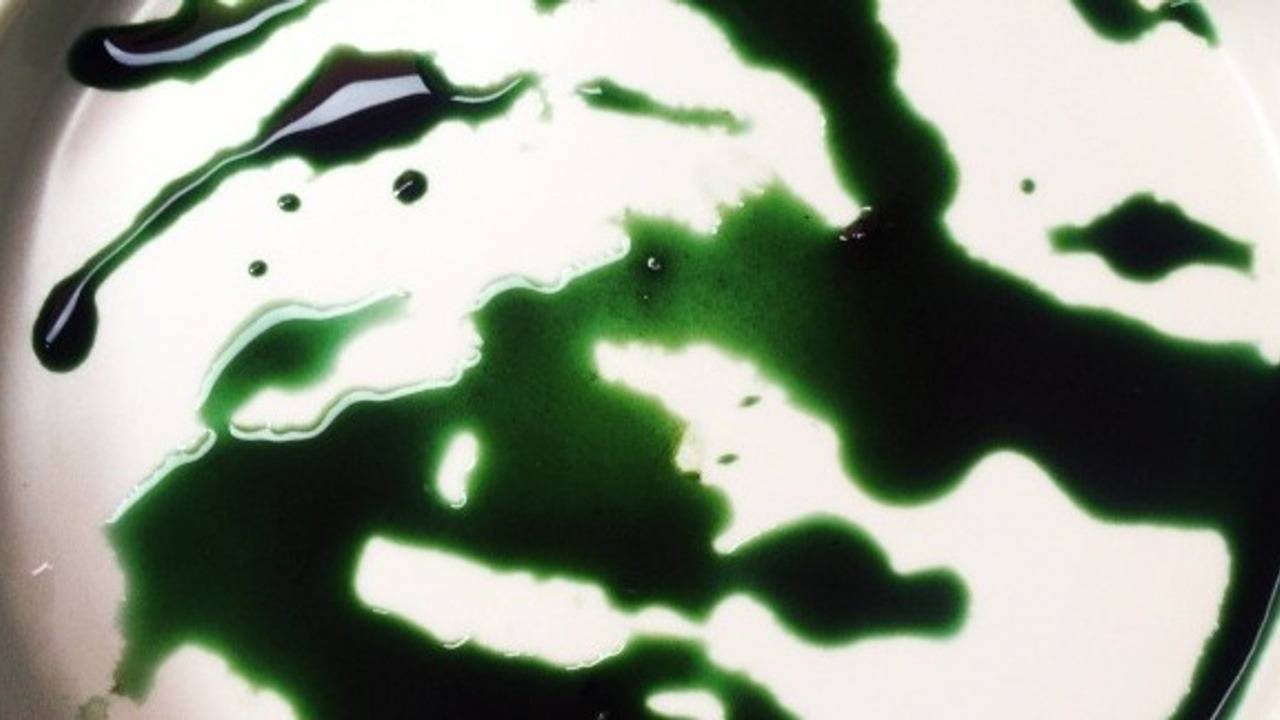 Why Your Body Will Thank You For Eating Algae
