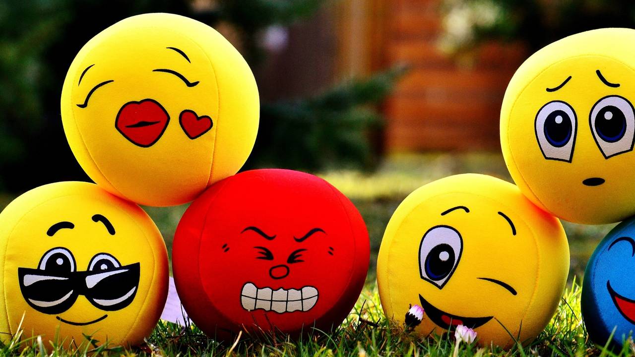 Emotions drive human behaviour and speaker bookers are human