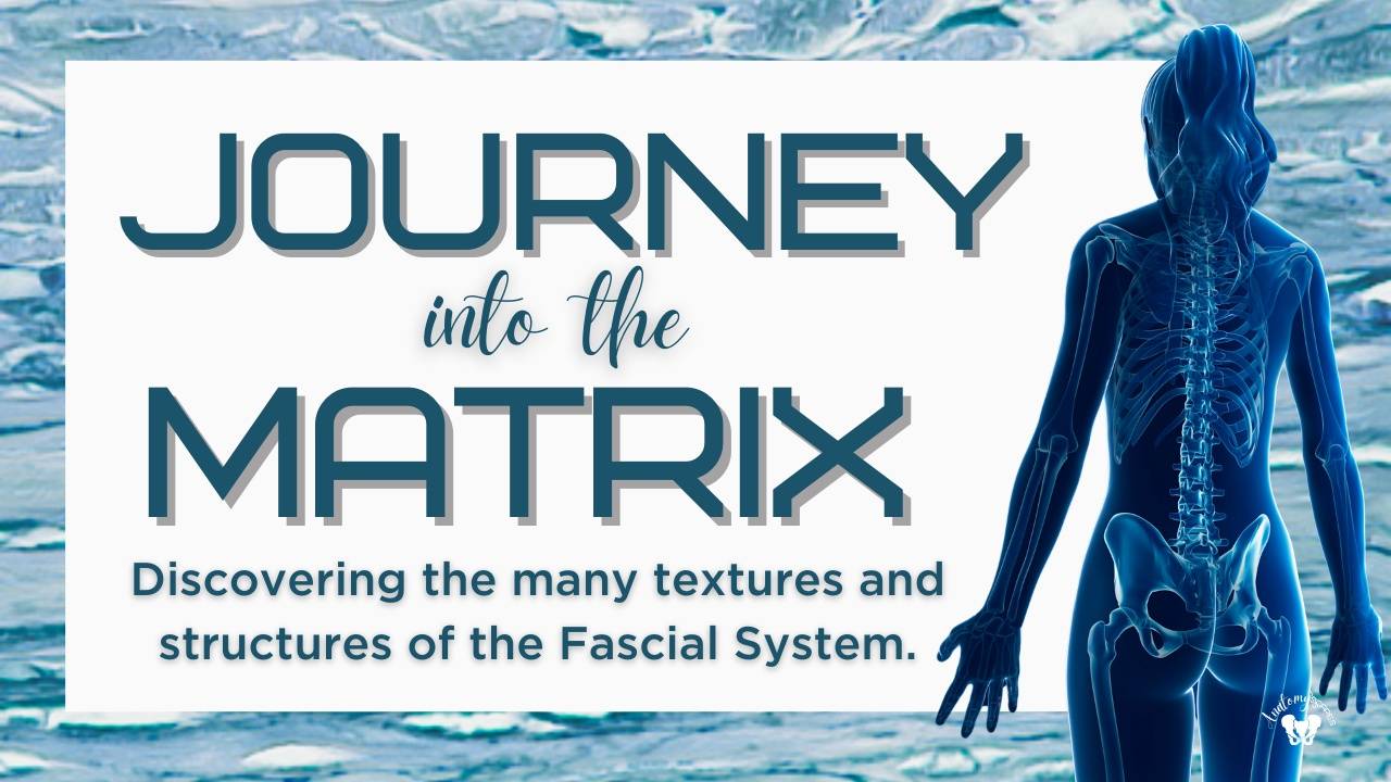 JOURNEY into the MATRIX