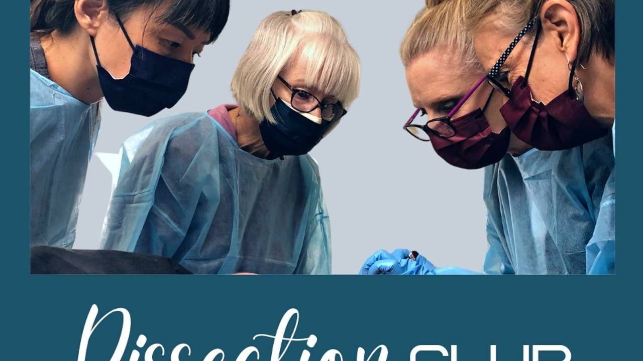 Dissection Study Group | AnatomySCAPES | San Diego, CA