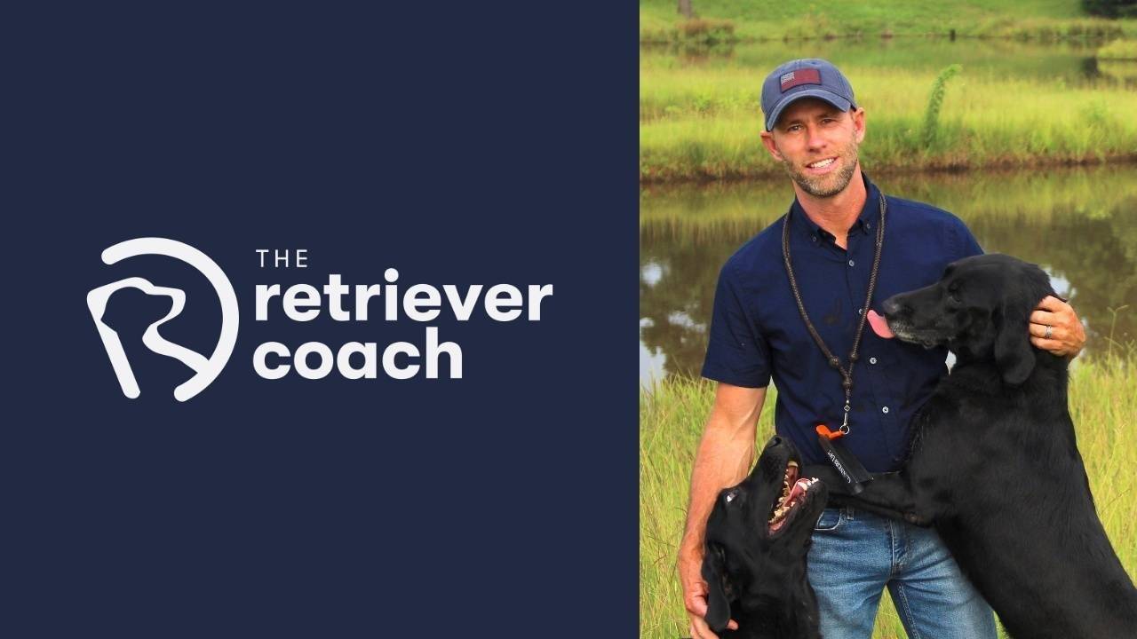 The Retriever Coach Blog