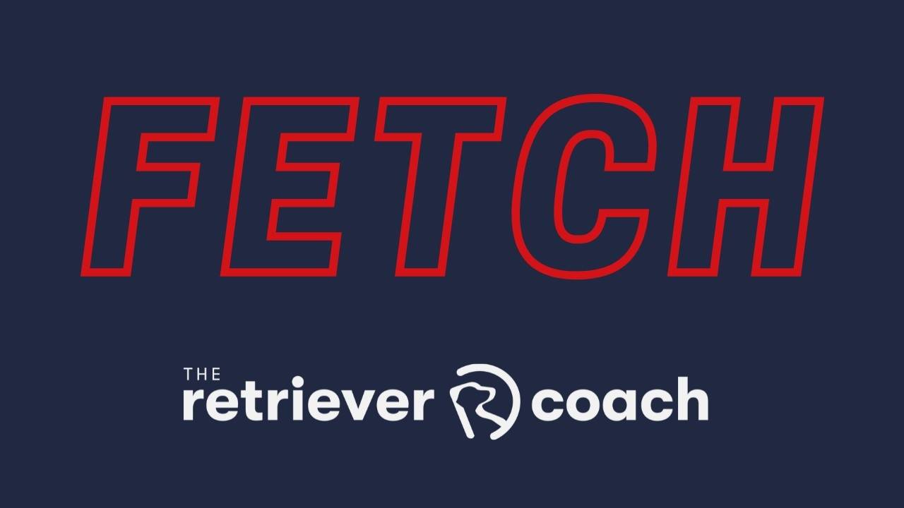 Best Retriever Training Program | FETCH