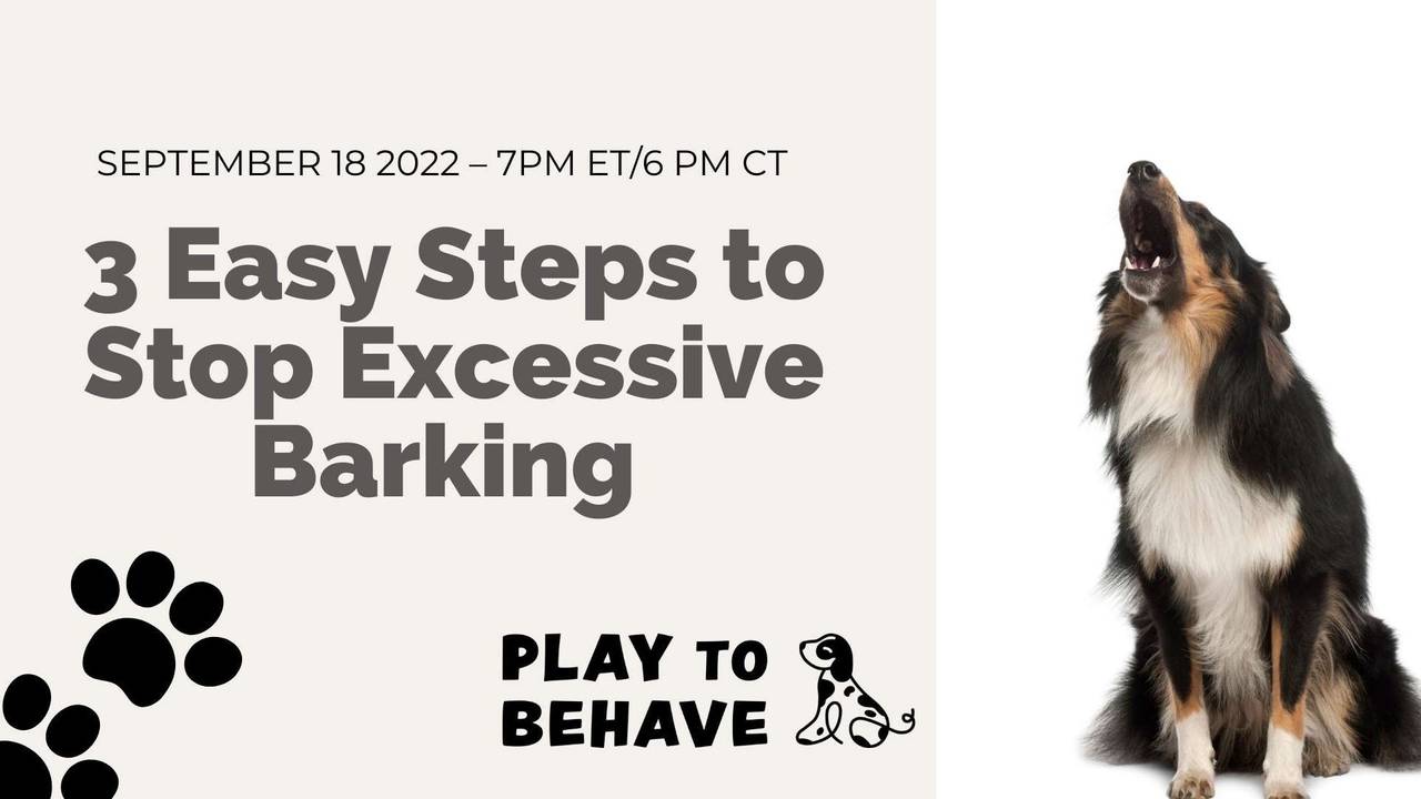 How do I get my dog to stop barking? Here's 3 Easy Steps.