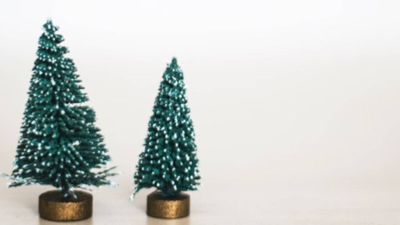 The Other Half of the Tree