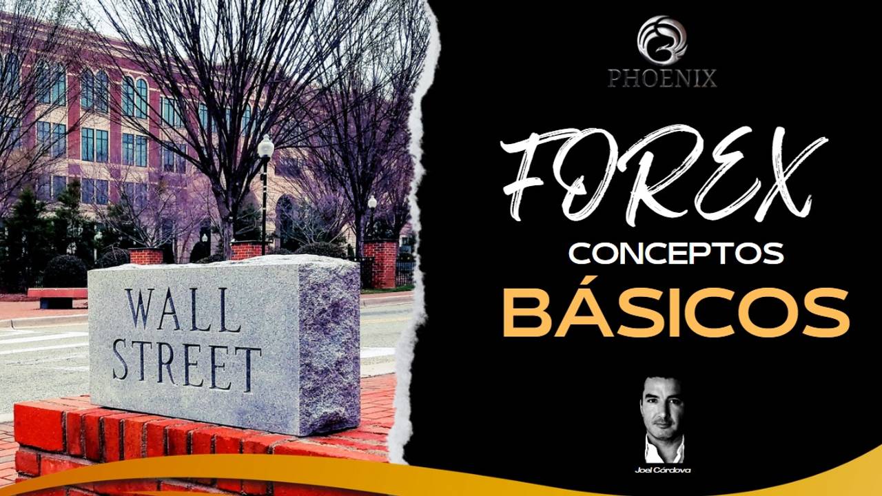 Conceptos básicos sobre el mercado Forex