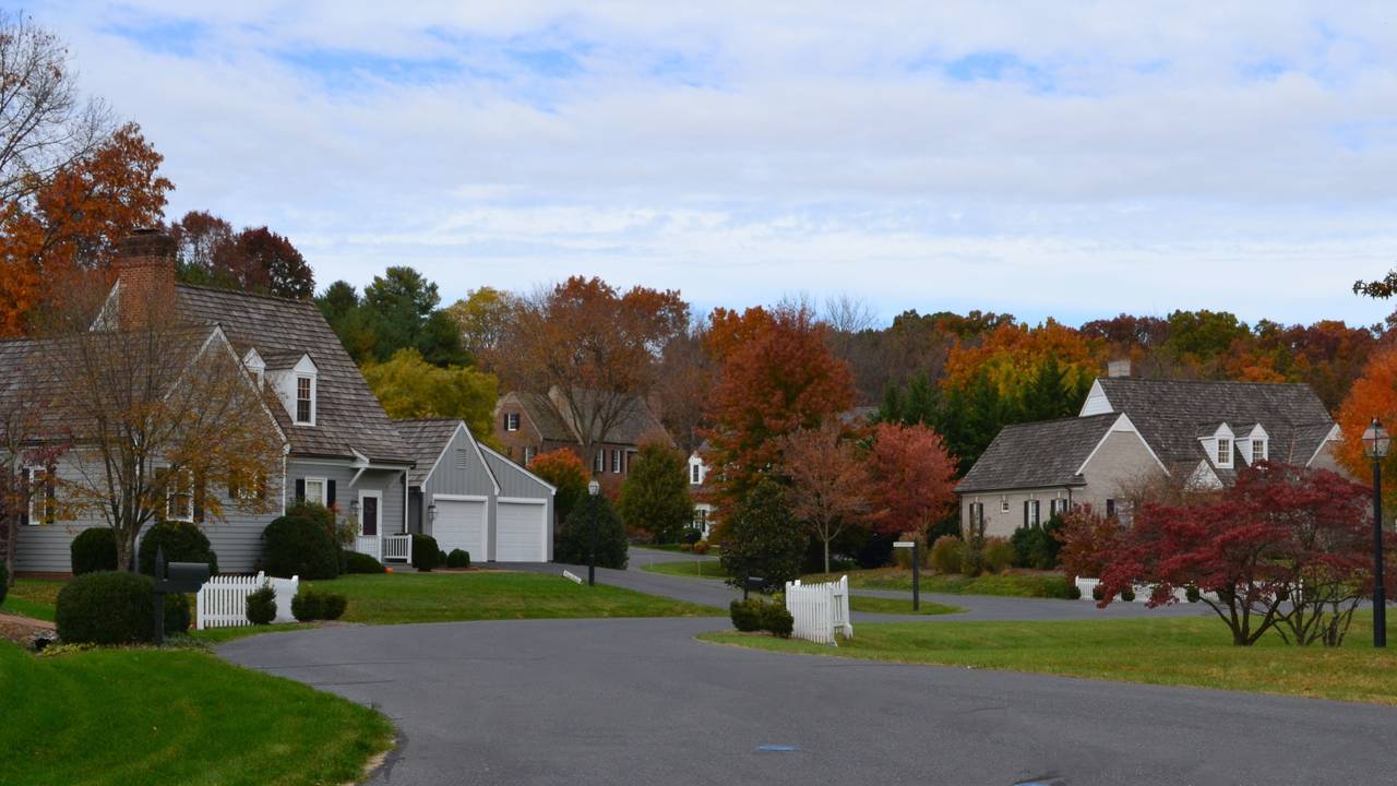 Trees provide value, but is it wise to pay more for them?