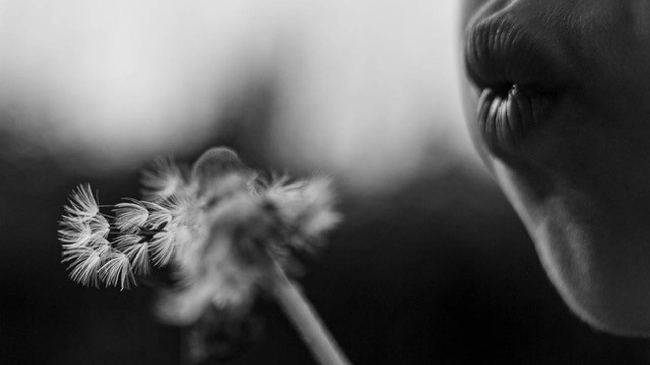 Meet Feature Fortnight Winner #06 - Helen Anderson