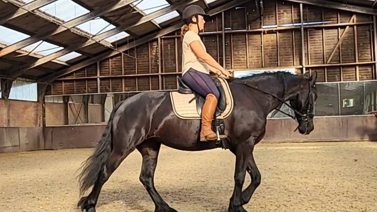 The influence of a saddle that's too narrow