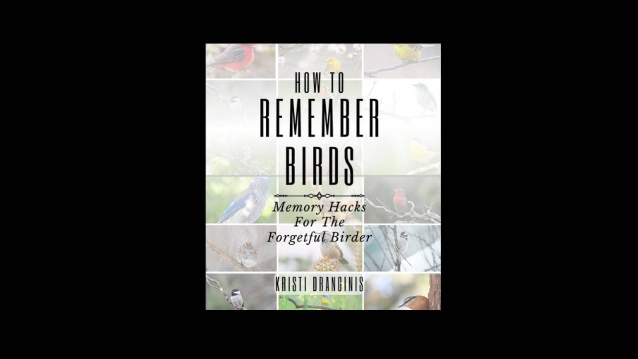 Free Gift - Memory Hacks For The Forgetful Birder
