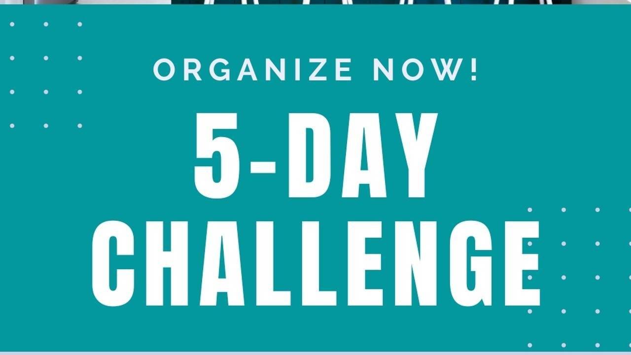 Organize Now Challenge