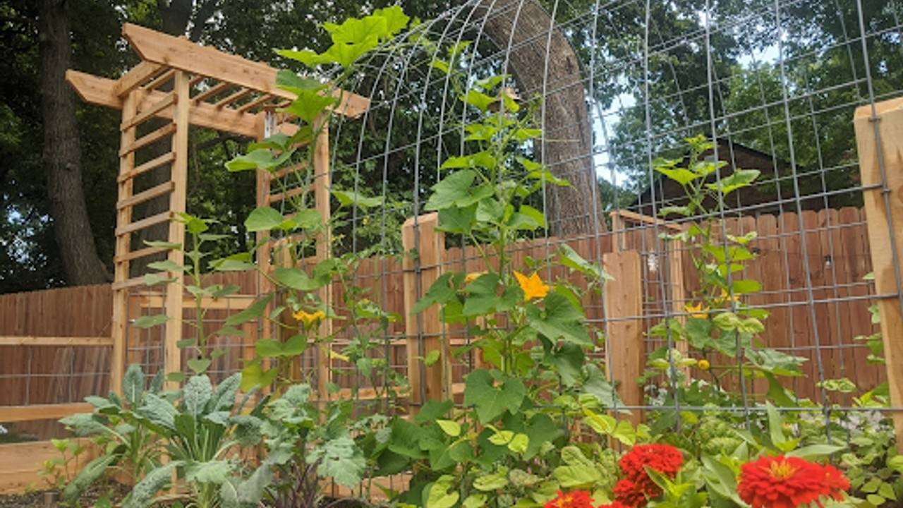 10 Veggie Garden Design Principles