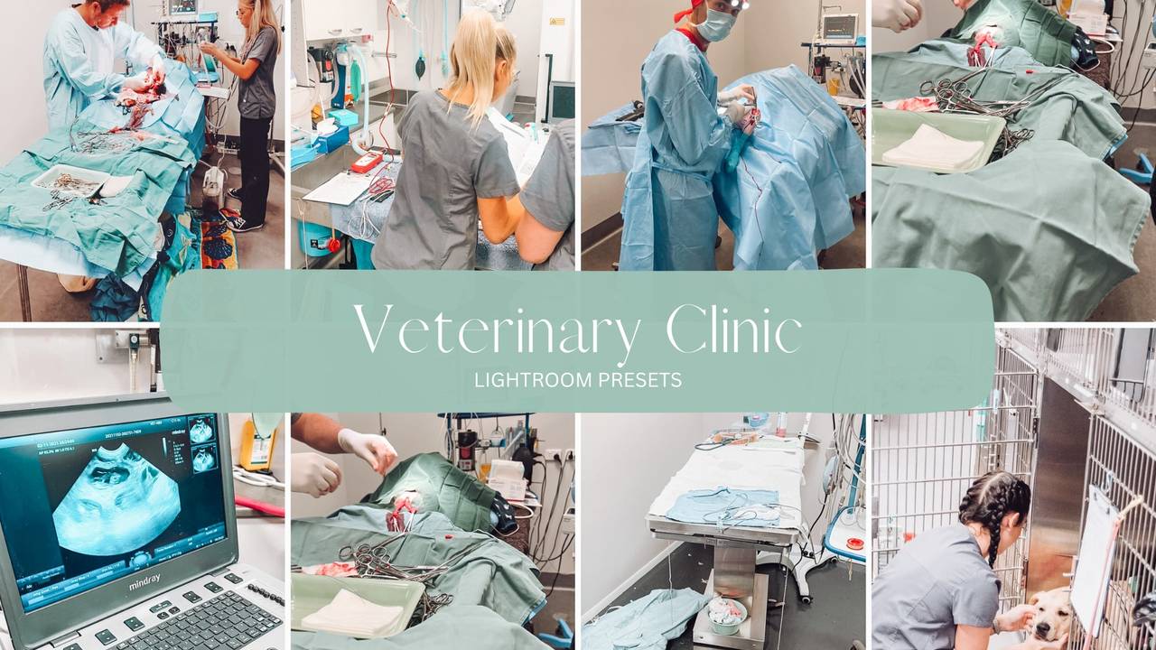 Veterinary Presets Collection