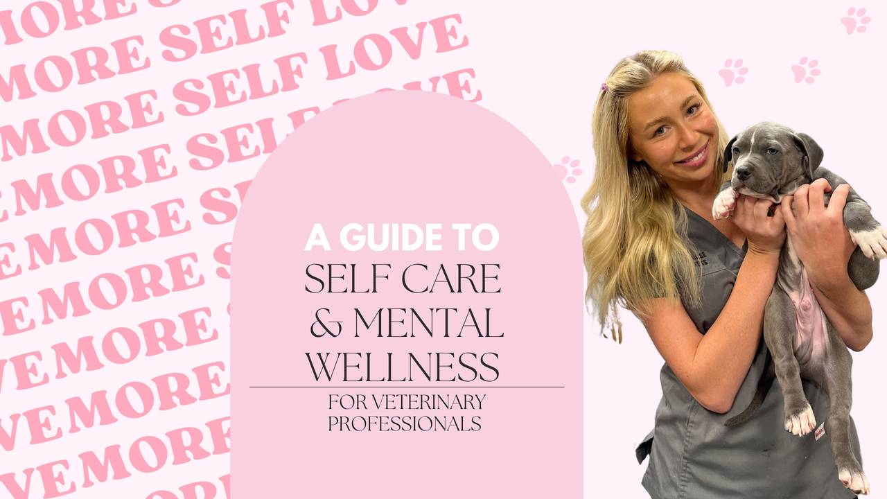 Self Care & Mental Wellness for Veterinary Professionals eBook