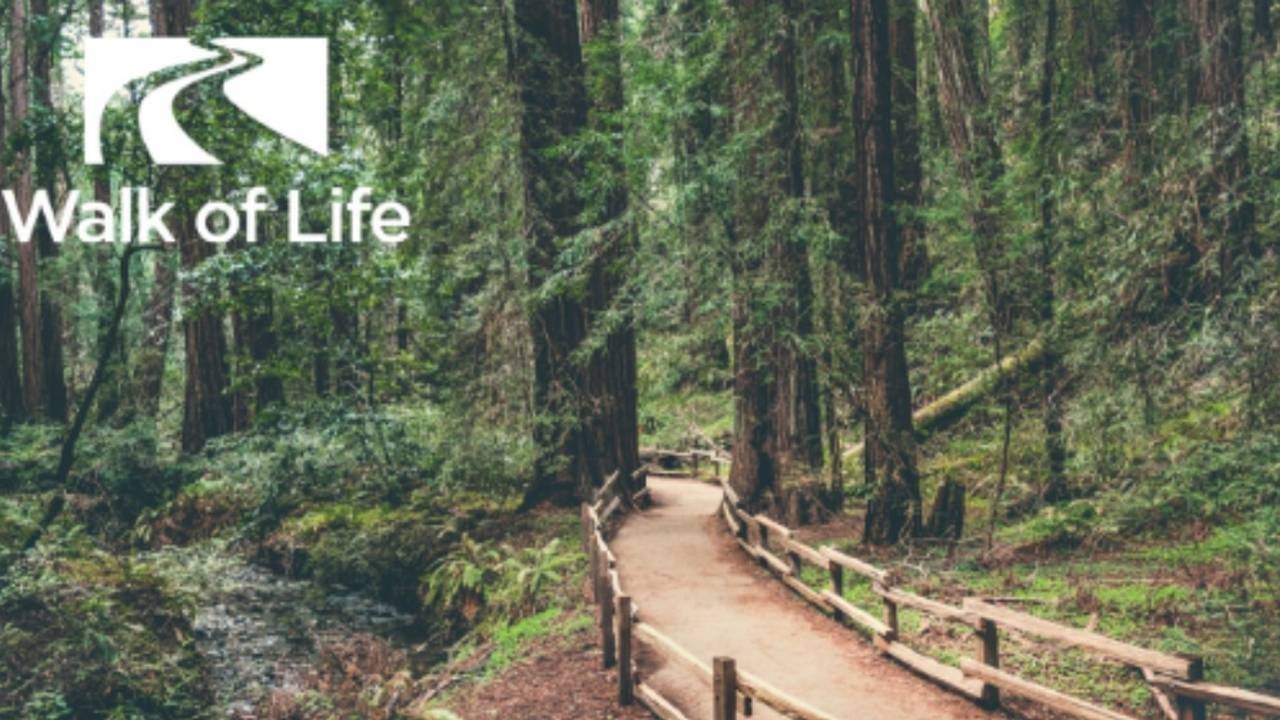 Walk of Life Coaching