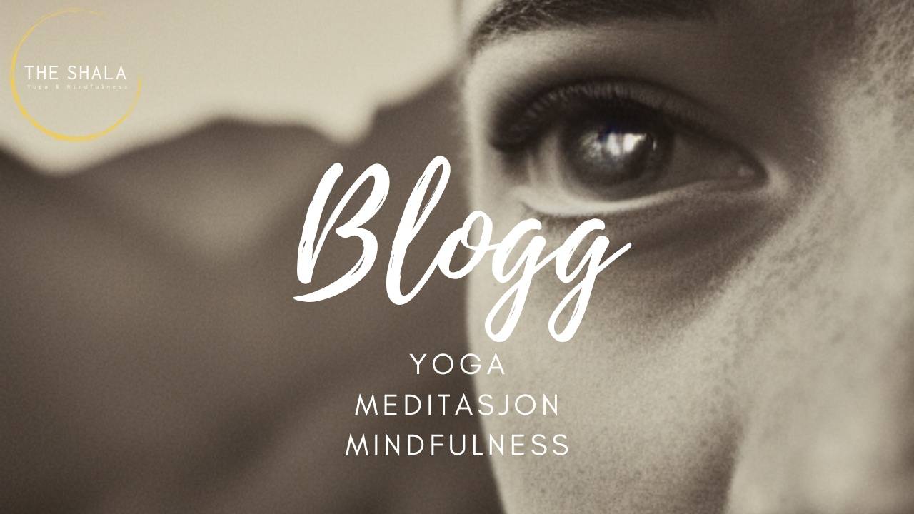The Shala Yoga & Mindfulness Blogg