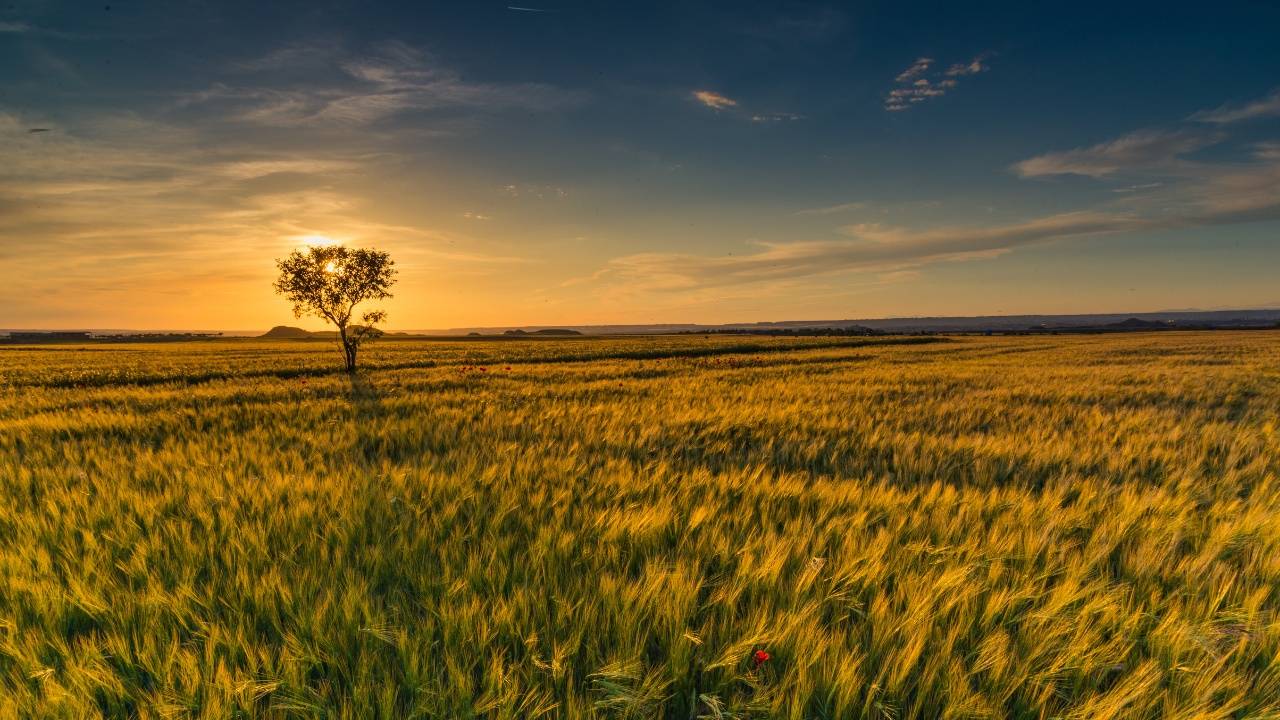 What Is It Like To Be Truly Present?