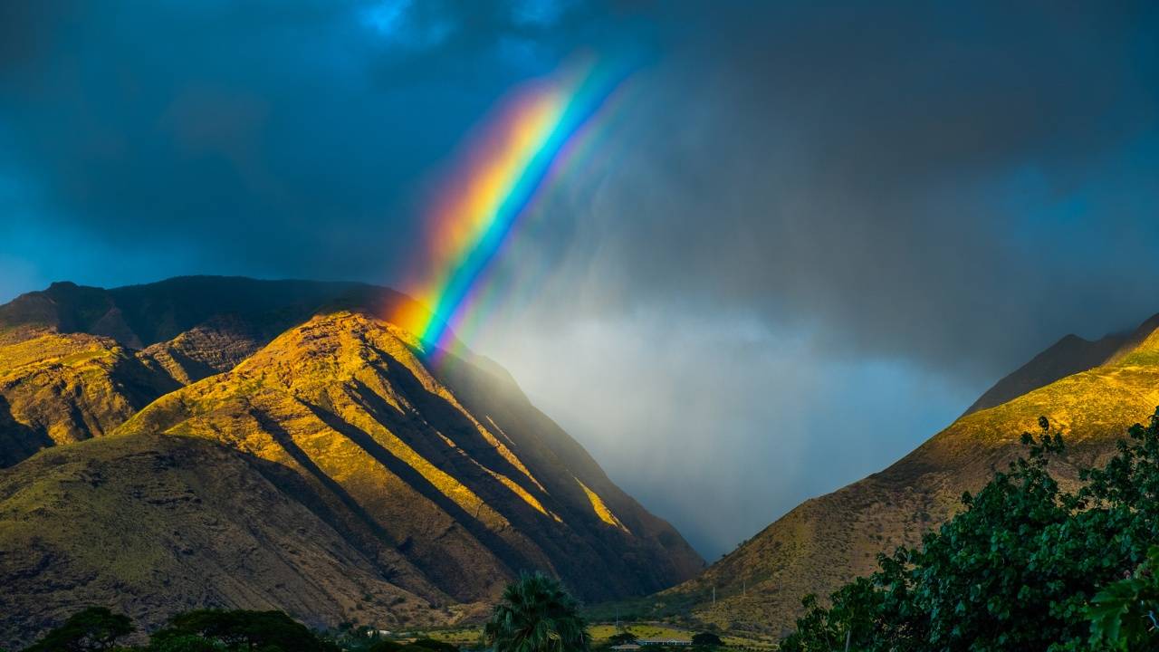 Freeing Yourself From The Past