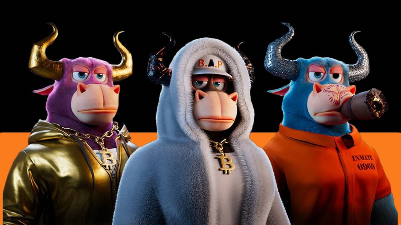 What is the Bulls and Apes Project?