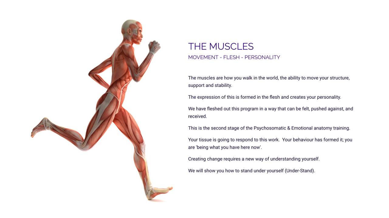 About - What is Psychosomatic Therapy and Emotional Anatomy Training?