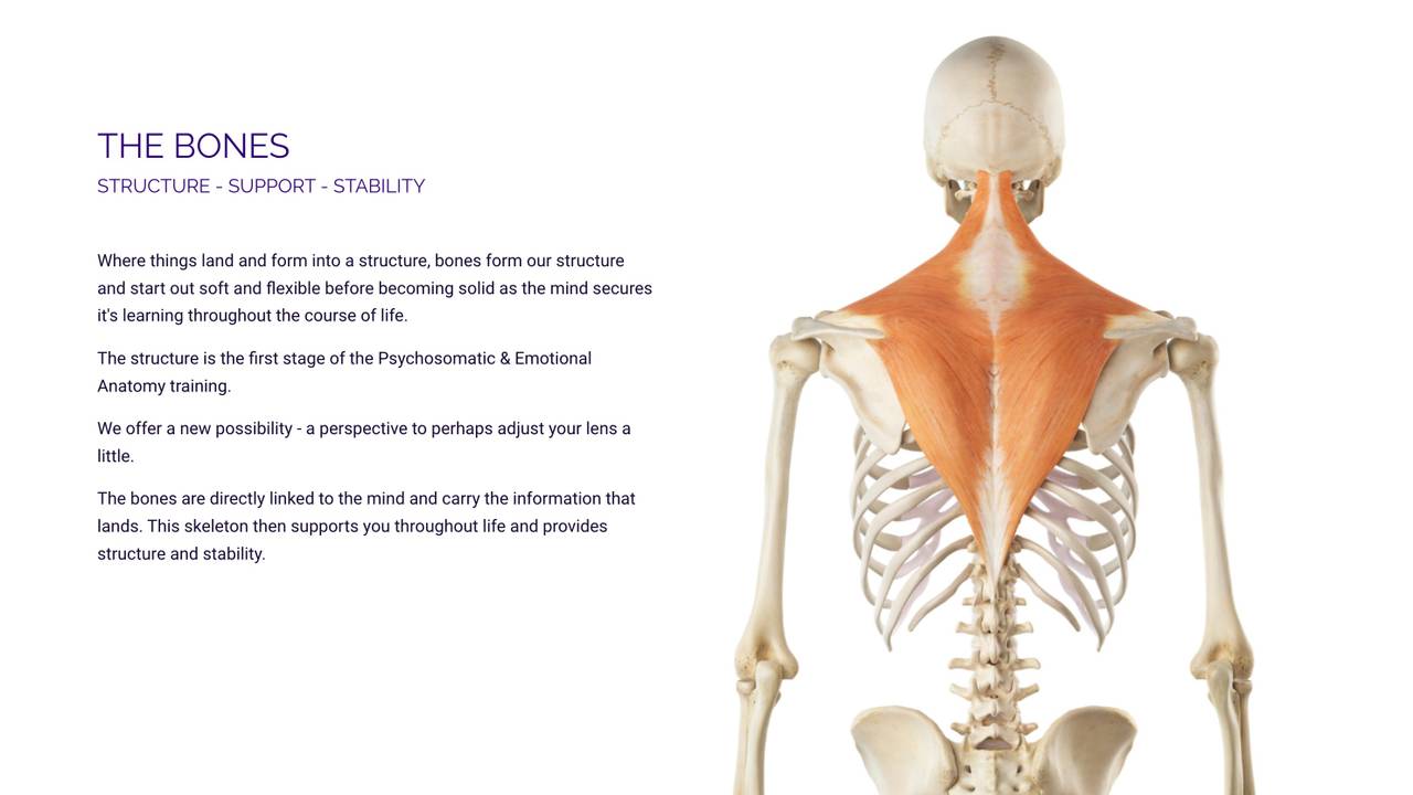 What is Psychosomatic Therapy?