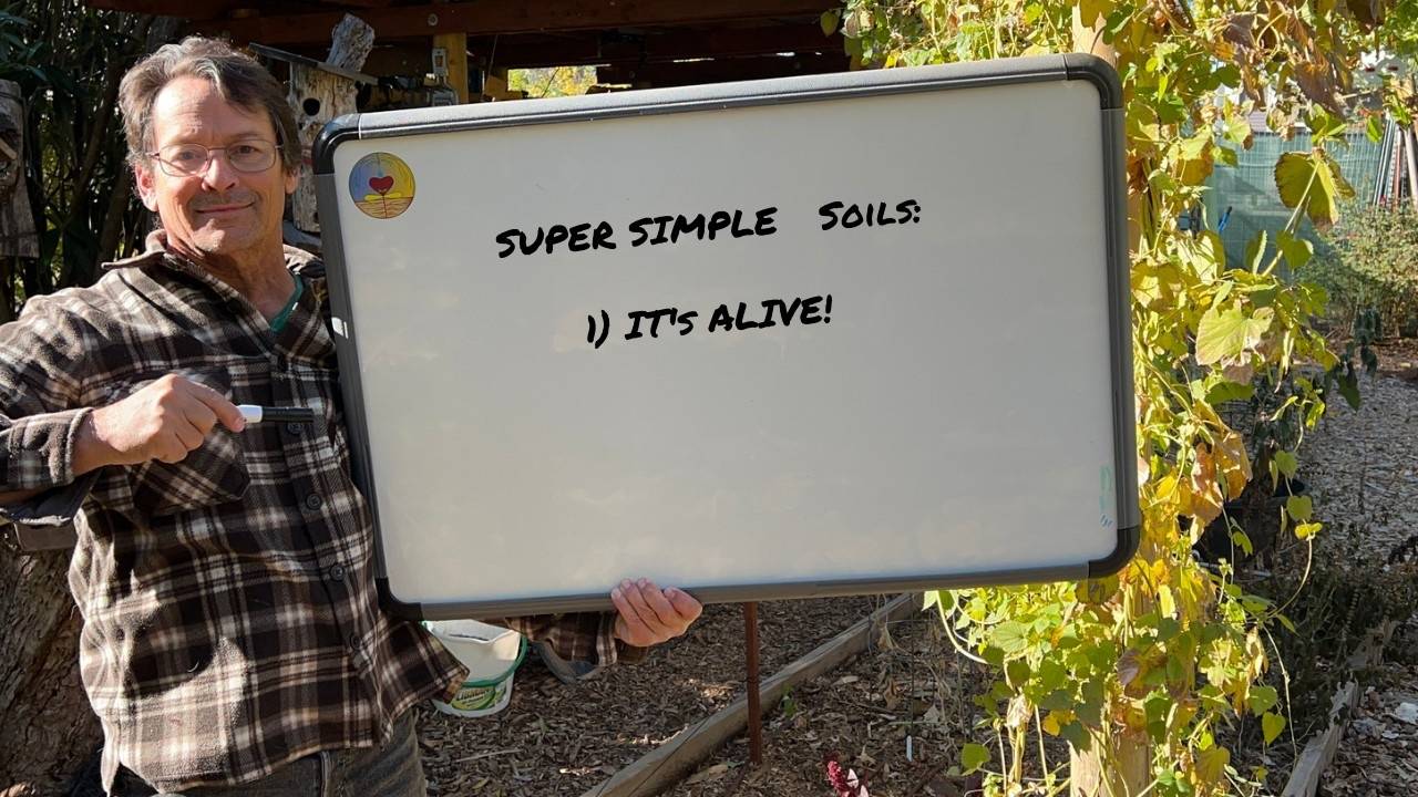Super Simple Soils: It's Alive