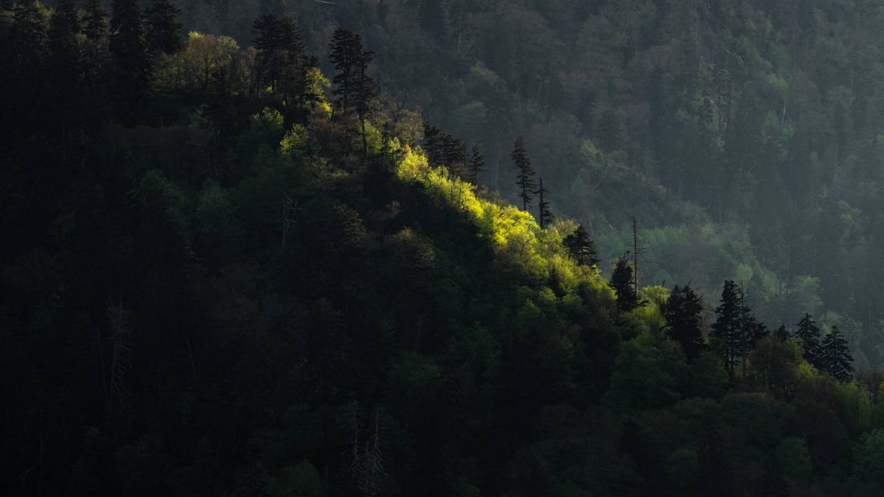 How to Use a 50mm Lens For Landscape Photography