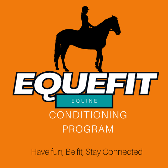 Equefit, 12 week equine conditioning program
