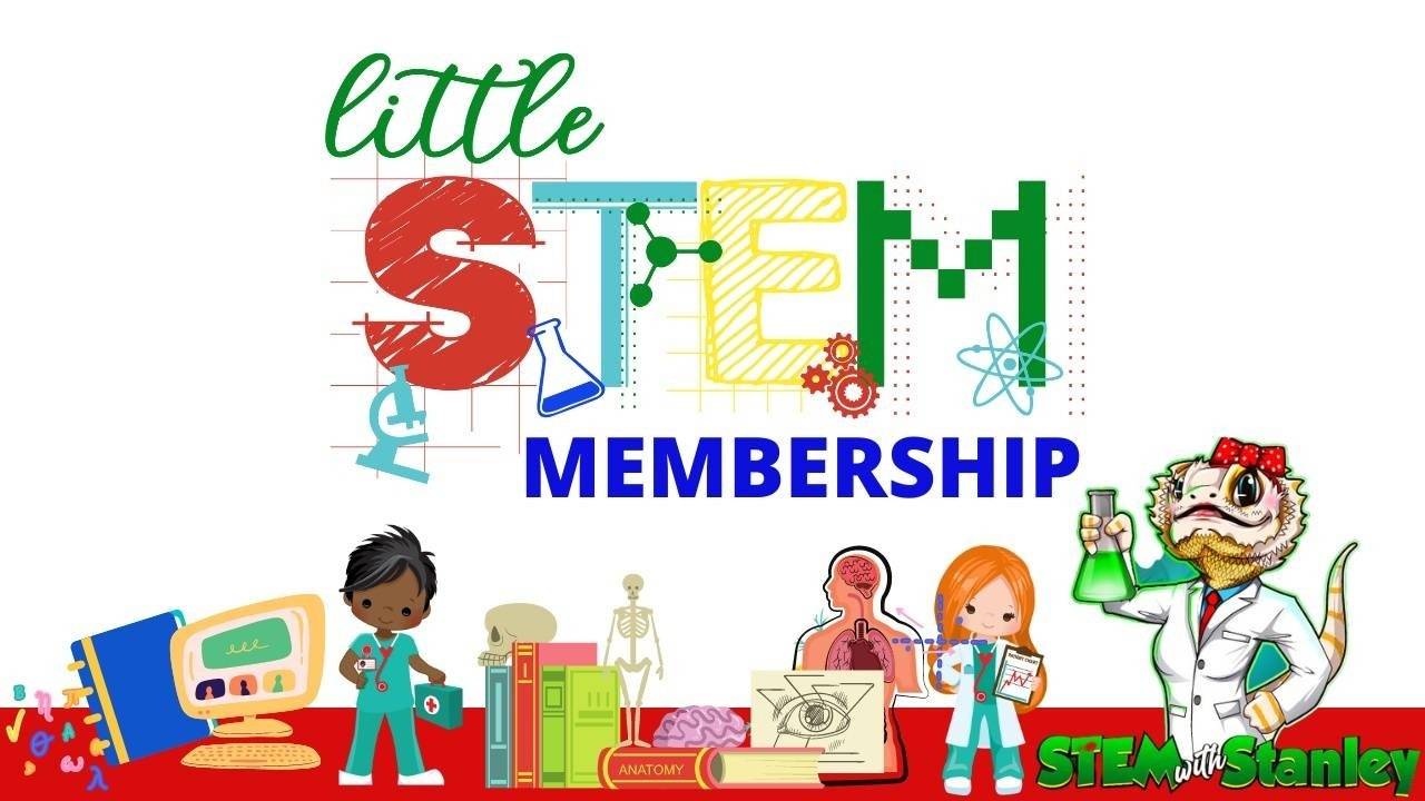 Little STEM Lab Membership