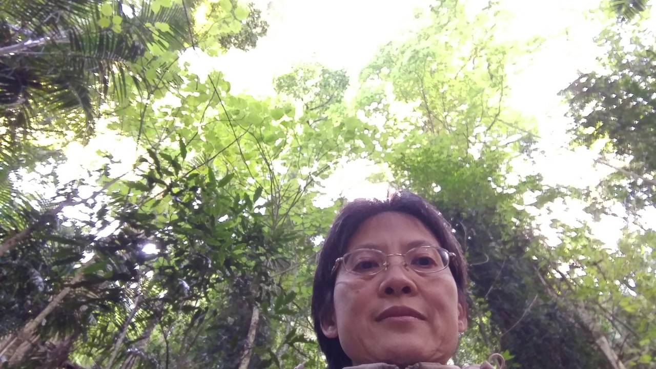 Anxiety Freedom Naturally!