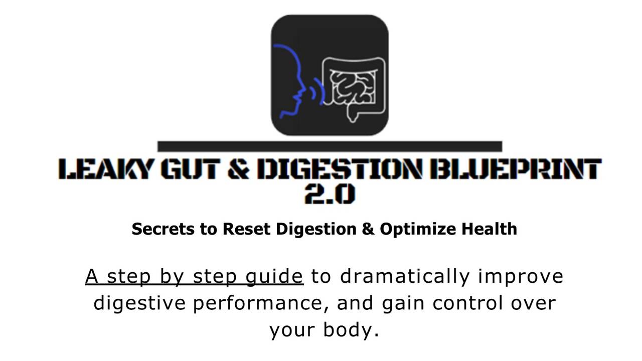 Health and Wellness, Gut Health and Digestion Support