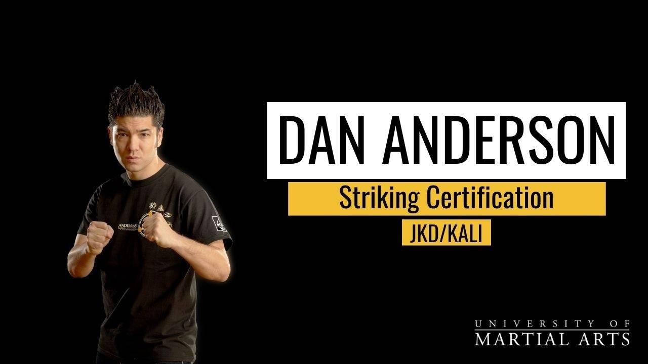 Striking Certification - Dan Anderson (JKD/Kali)