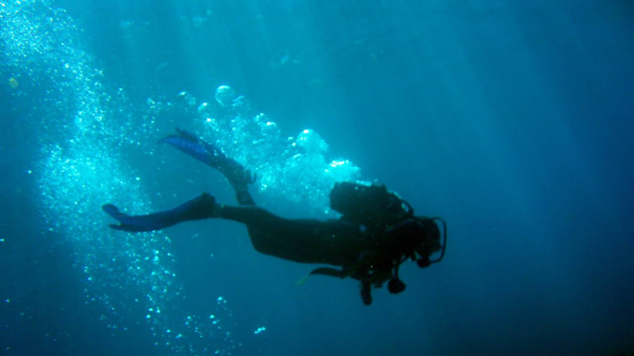 Deep Dive Acting Audition Training System