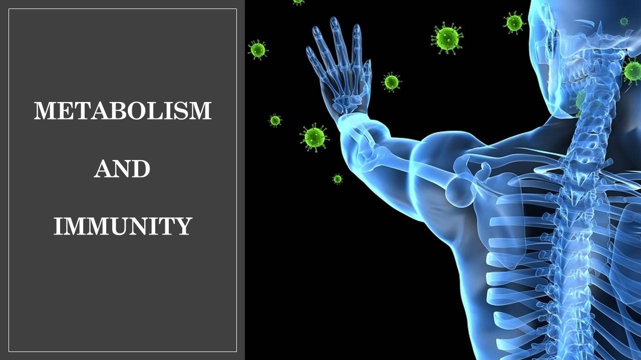 Immunity Webinar - Tackling COVID19 in your World