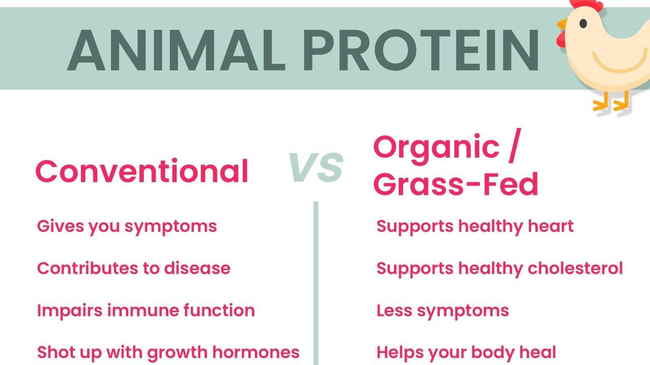 Animal Protein for Health