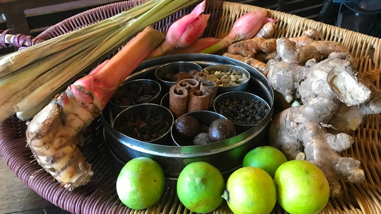 Tropical Spice Garden - a place to enjoy the special part of nature